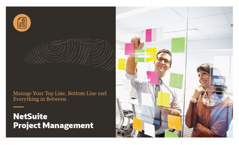 NetSuite Project Management - The Absol