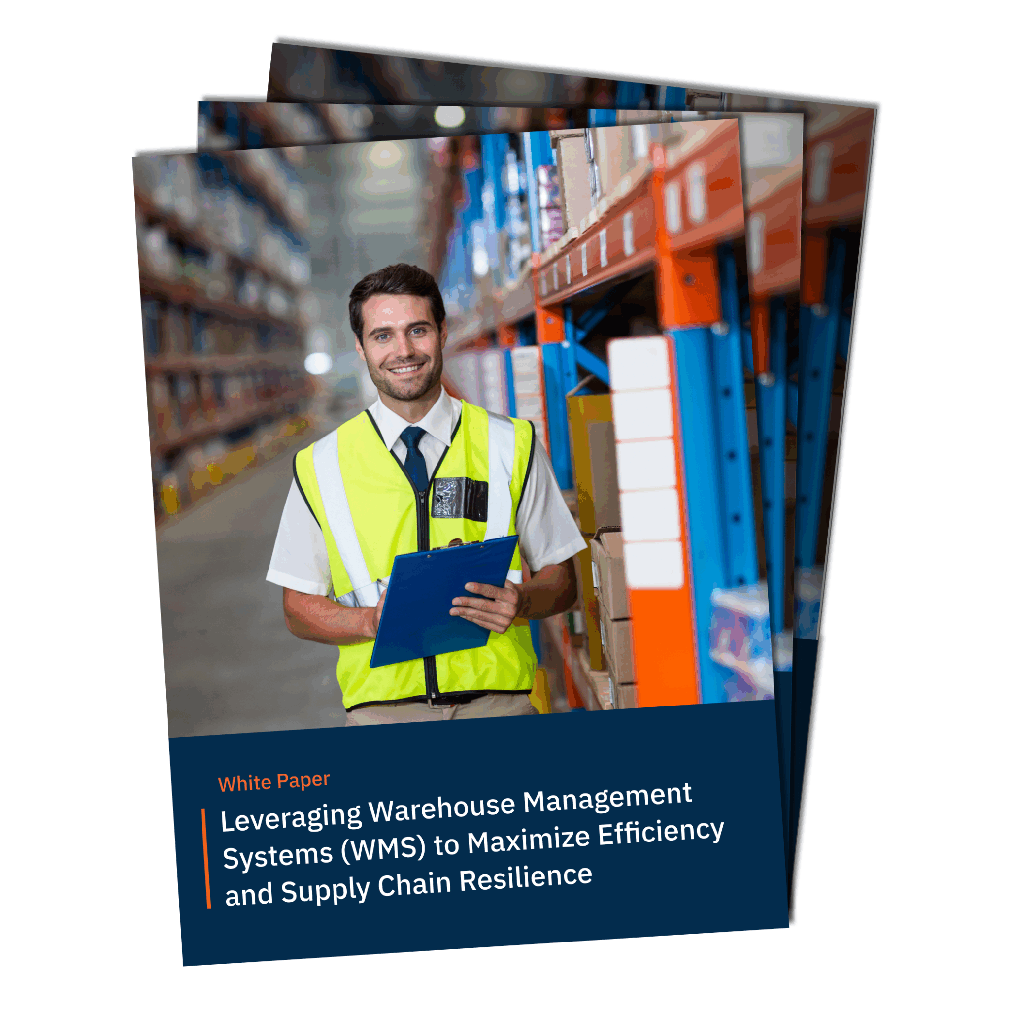 Leveraging Warehouse Management Systems (WMS) to Maximize Efficiency and Supply Chain Resilience ...